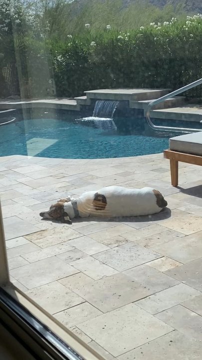 CDC POOLS - Updated September 2025 - 169 Photos & 133 Reviews - 2364 S ...