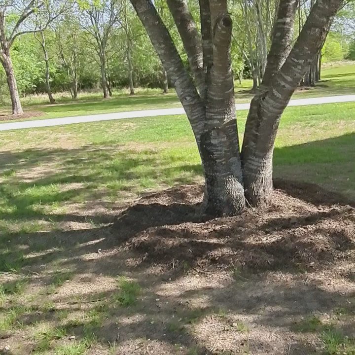 WEST PEARLAND LIBRARY - Updated December 2025 - 130 Photos & 36 Reviews ...