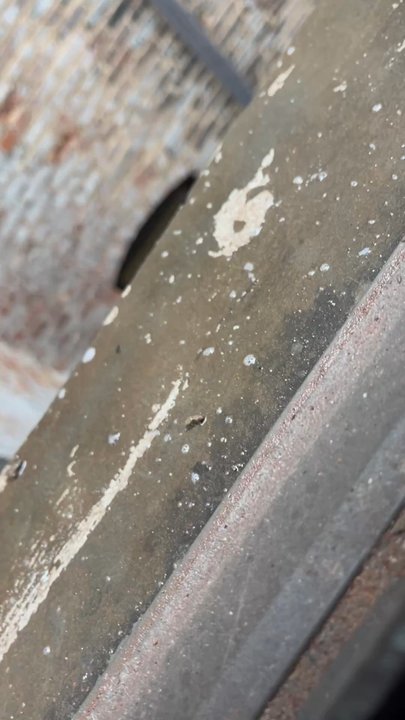 WAVECREST MANAGEMENT - Updated December 2025 - 44 Photos & 114 Reviews ...