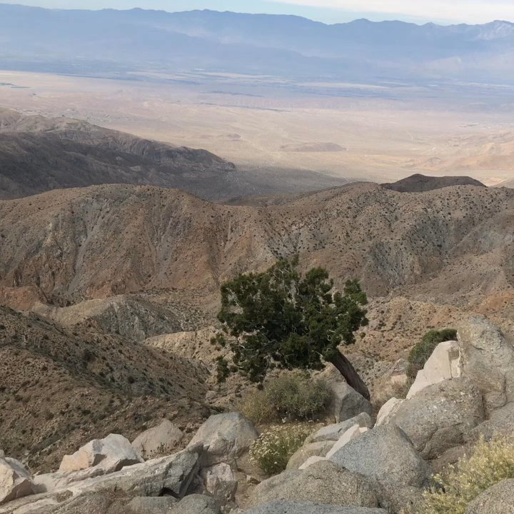 KEYS VIEW - Updated January 2025 - 340 Photos & 25 Reviews - Joshua ...