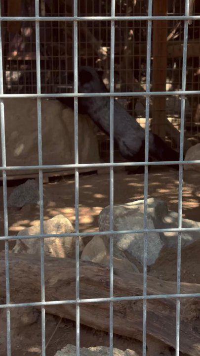 WILDLIFE LEARNING CENTER - Updated April 2025 - 1474 Photos & 700 ...