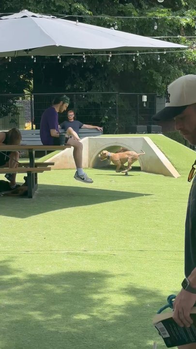 SKIPTOWN - Updated December 2025 - 201 Photos & 115 Reviews - 222 ...