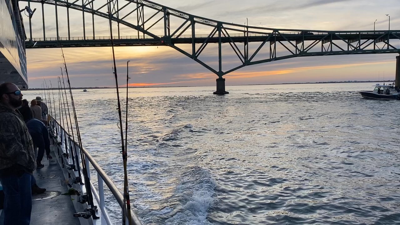 CAPTREE PRINCESS - Updated December 2025 - 60 Photos & 41 Reviews ...