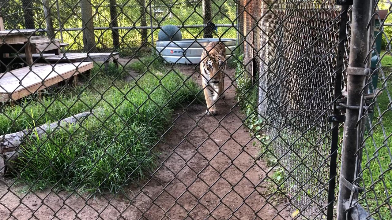 CATTY SHACK RANCH WILDLIFE SANCTUARY - Updated July 2025 - 690 Photos ...