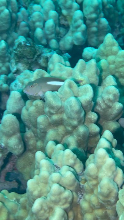 JACK’S DIVING LOCKER - Updated May 2026 - 273 Photos & 576 Reviews - 75 ...