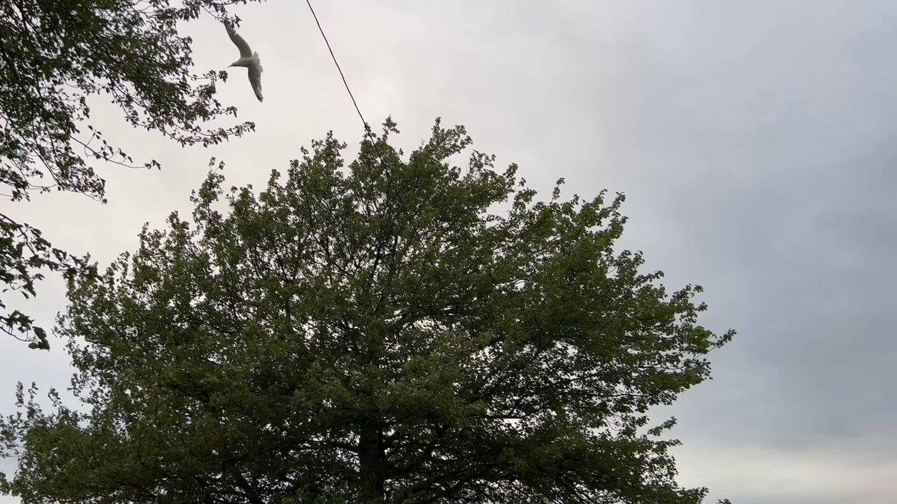 SALEM WILLOWS PARK - Updated June 2026 - 151 Photos & 49 Reviews - 167 ...