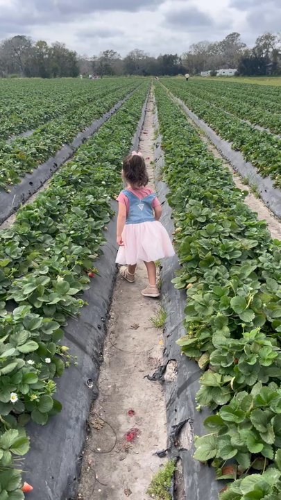 BERRY SWEET ACRES - Updated May 2026 - 70 Photos & 17 Reviews - 5621 W ...
