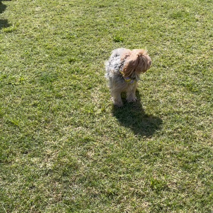 PATSY T. MINK CENTRAL OAHU REGIONAL PARK - Updated December 2025 - 708 ...