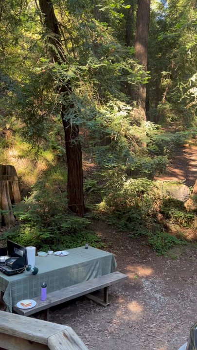 BIG SUR CAMPGROUND AND CABINS - Updated May 2025 - 367 Photos & 318 ...