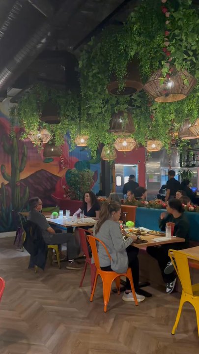 D’POLY TACO GRILL & BEER - Updated August 2025 - 353 Photos & 276 ...