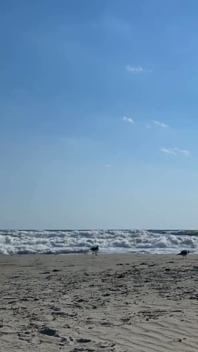 ATLANTIC BEACH AT FORT MACON - Updated May 2026 - 23 Photos - Morehead ...