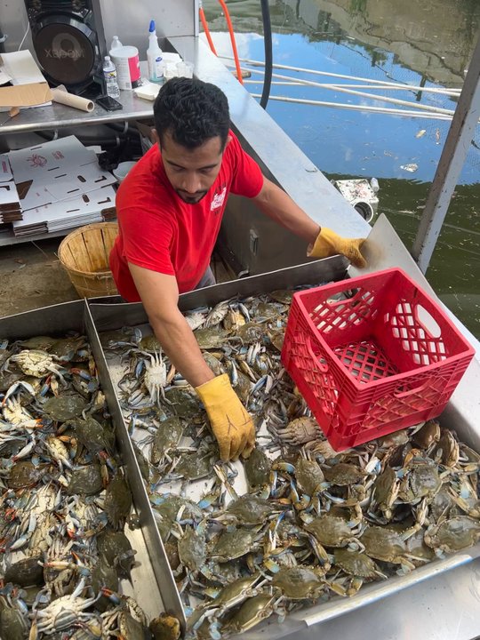 MUNICIPAL FISH MARKET AT THE WHARF - Updated August 2025 - 105 Photos ...
