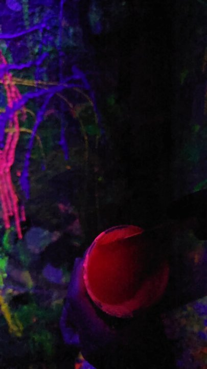 SHOT OF ART - Updated January 2026 - 65 Photos & 16 Reviews - 14988 ...