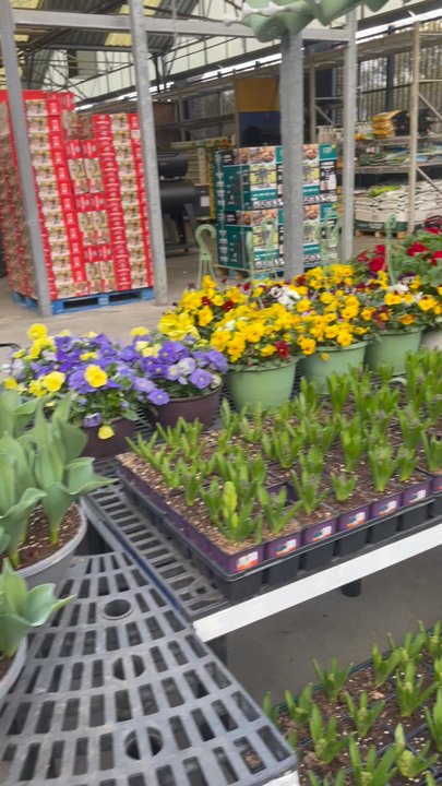 WALMART SUPERCENTER - Updated December 2025 - 219 Photos & 161 Reviews ...