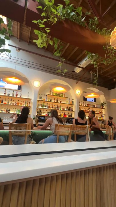 FOLIA - Updated April 2026 - 181 Photos & 51 Reviews - 1440 S Tryon St ...