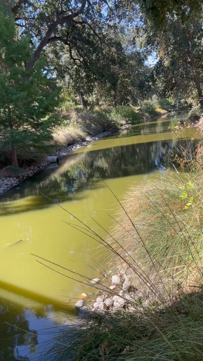 UC DAVIS ARBORETUM AND PUBLIC GARDEN - Updated April 2026 - 1315 Photos ...