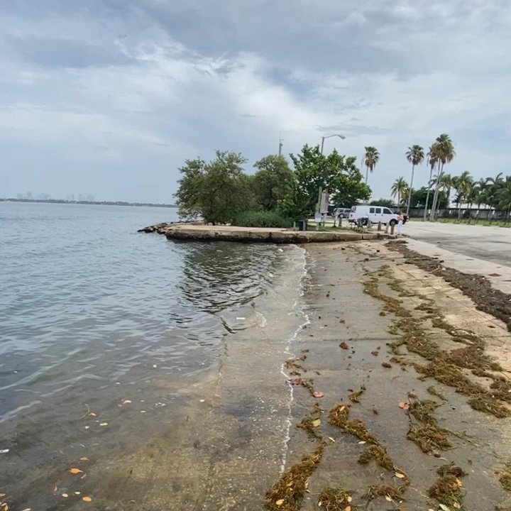 MORNINGSIDE PARK - Updated August 2025 - 201 Photos & 44 Reviews - 750 ...