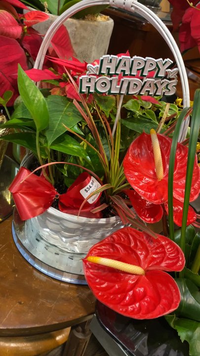 WATANABE FLORAL - Updated May 2025 - 1172 Photos & 577 Reviews - 1618 N ...