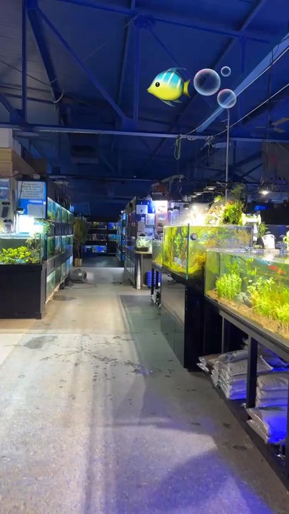 PREUSS PETS - Updated June 2026 - 86 Photos & 96 Reviews - 1127 N Cedar ...