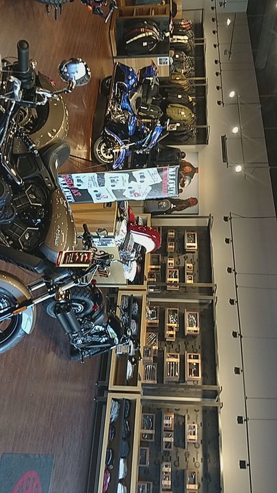 ALL OUT CYCLES - Updated May 2026 - 44 Photos & 27 Reviews - 108 ...