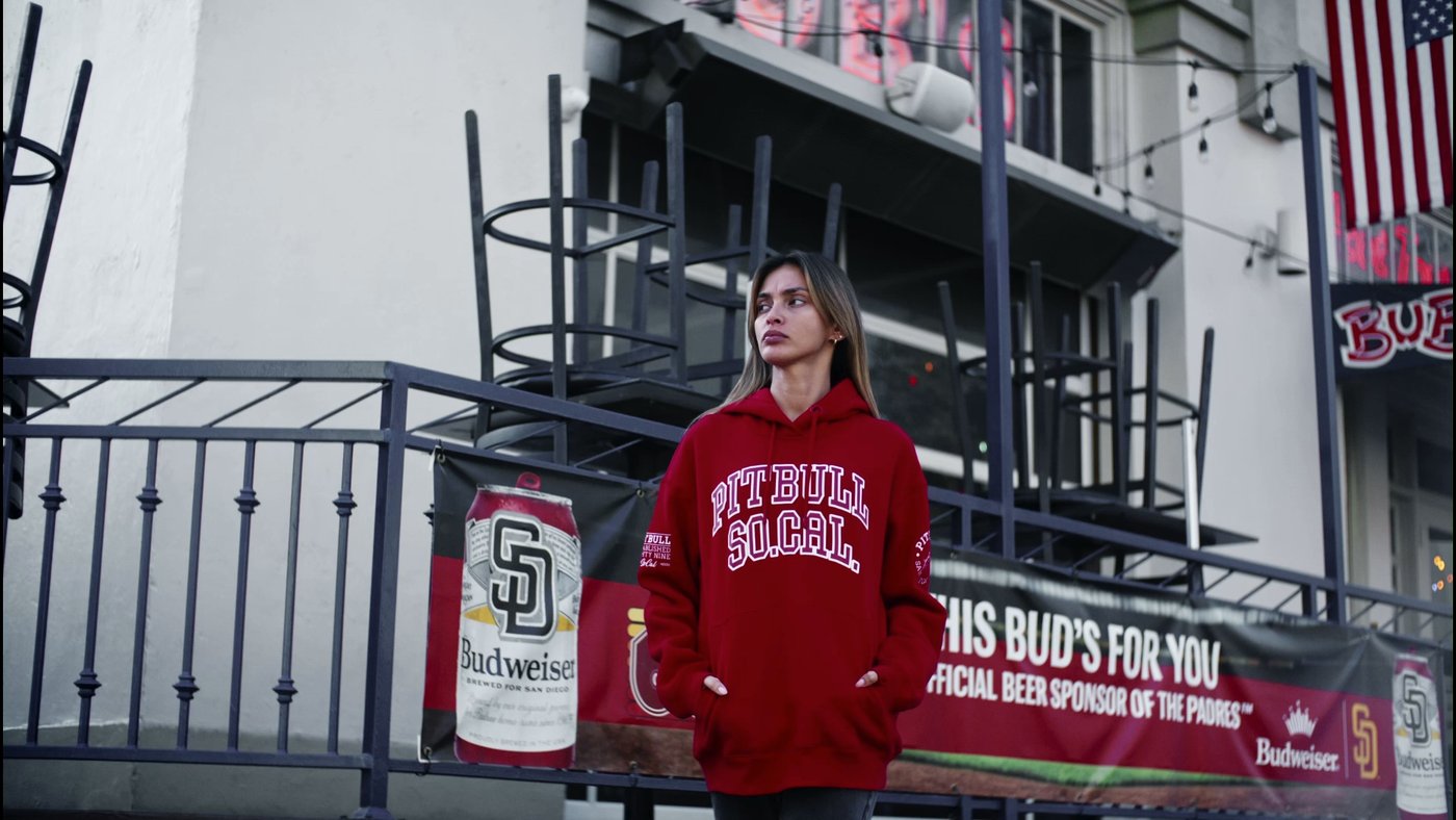 Startseite | Pitbull