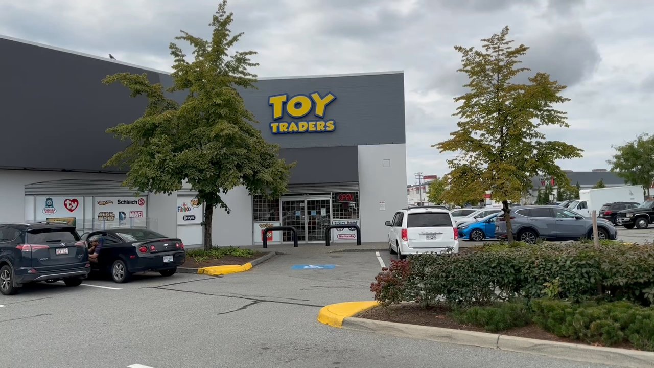 TOY TRADERS - Updated March 2025 - 193 Photos & 74 Reviews - 150-19880 ...