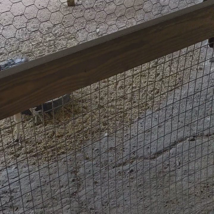 CROWES NEST FARM - Updated May 2026 - 116 Photos & 41 Reviews - 10300 ...