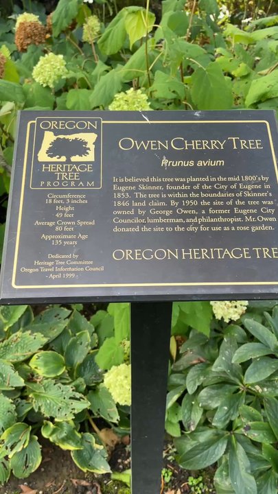 OWEN ROSE GARDEN - Updated May 2026 - 222 Photos & 38 Reviews - 300 N ...