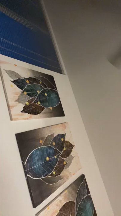 SOLA RENTALS - Updated January 2026 - 81 Photos & 77 Reviews - 8629 S ...