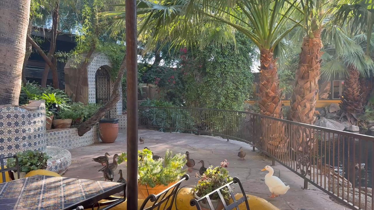 EL ENCANTO - Updated September 2025 - 896 Photos & 1236 Reviews - 6248 ...