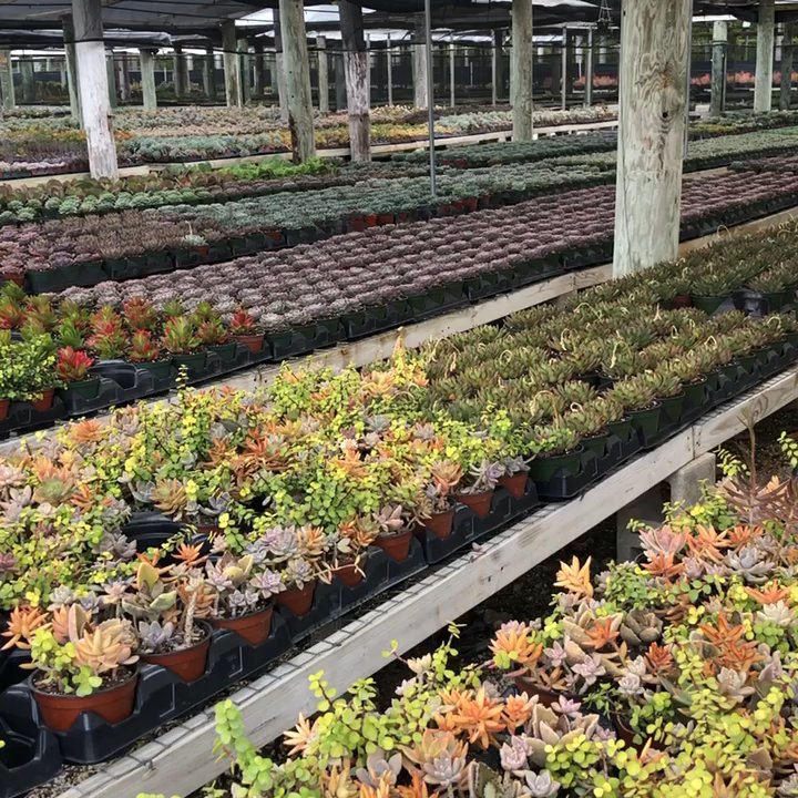 ISAAC FARMS - Updated January 2025 - 446 Photos & 111 Reviews - 18800 ...