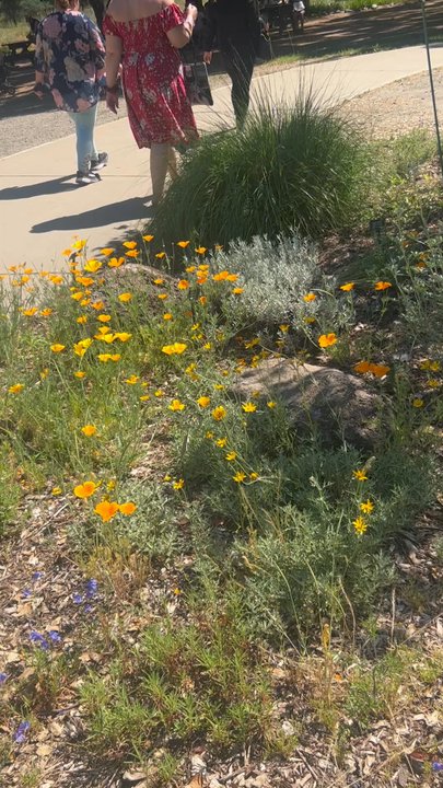 ANCIL HOFFMAN GOLF COURSE - Updated November 2025 - 77 Photos & 80 ...