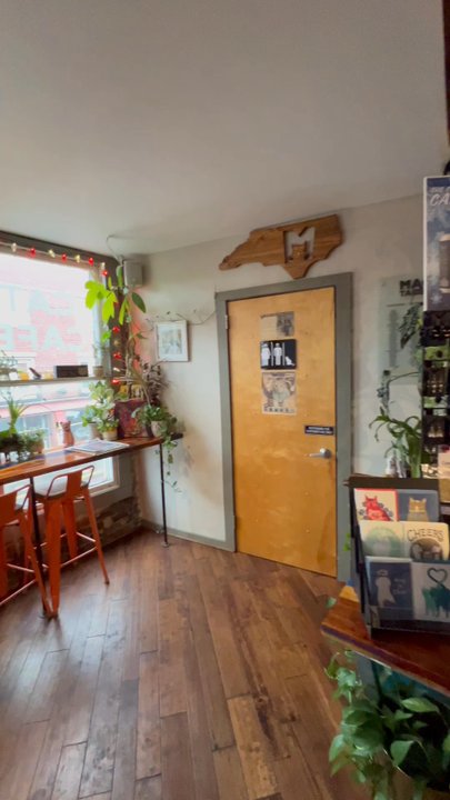 MAC TABBY CAT CAFE - Updated April 2026 - 344 Photos & 151 Reviews ...