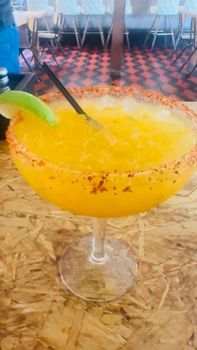 GRAN CASTOR - Updated December 2025 - 635 Photos & 560 Reviews - 2950 ...