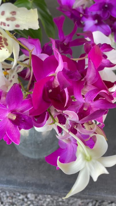 MAKU’U FARMER’S MARKET - Updated July 2025 - 297 Photos & 140 Reviews ...