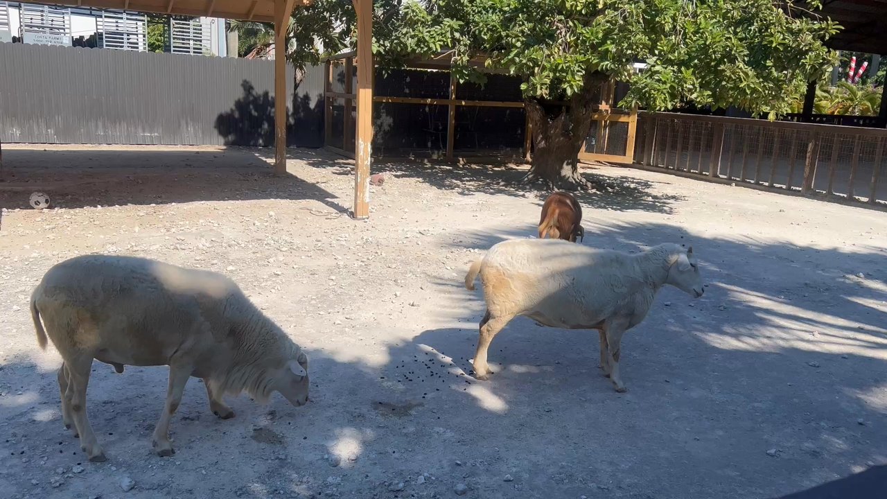 PINTO’S FARM - Updated August 2025 - 549 Photos & 179 Reviews - 14890 ...