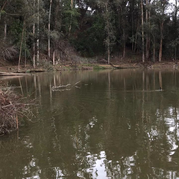 DON CASTRO REGIONAL RECREATION AREA - Updated August 2025 - 395 Photos ...