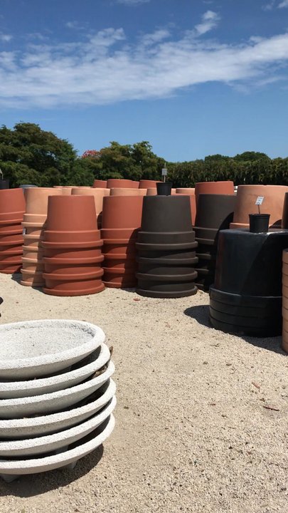 THE BUSHEL STOP - Updated March 2025 - 183 Photos & 63 Reviews - 8596 W ...