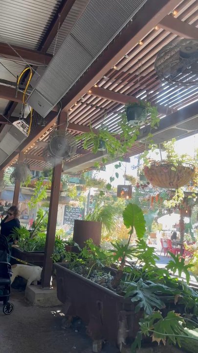 ELSEWHERE GARDEN BAR & KITCHEN - Updated December 2025 - 1096 Photos ...