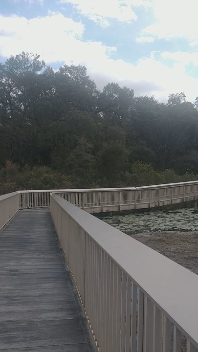 LONG KEY NATURAL AREA & NATURE CENTER - Updated December 2025 - 298 ...