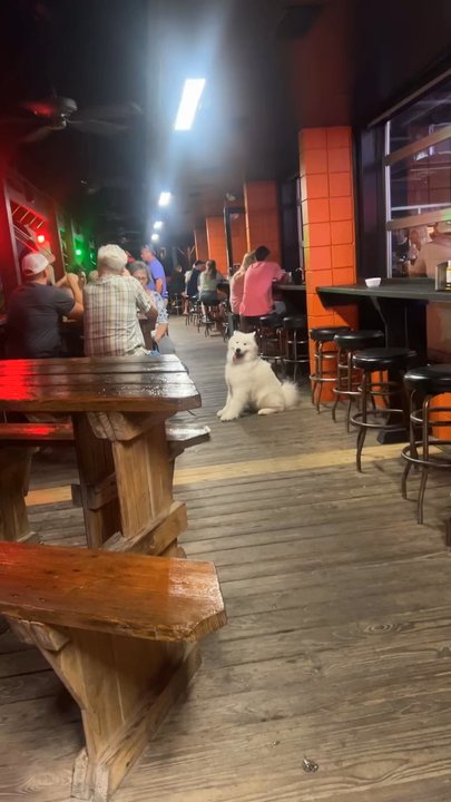 SALTY GOAT SALOON - Updated March 2025 - 113 Photos & 169 Reviews ...