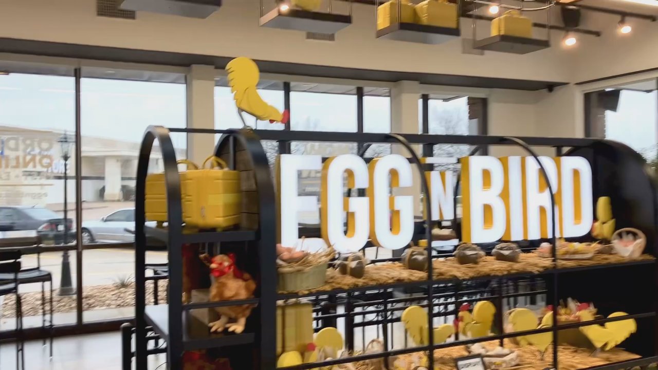 EGG N BIRD - Updated May 2026 - 174 Photos & 111 Reviews - 212 W Plano ...