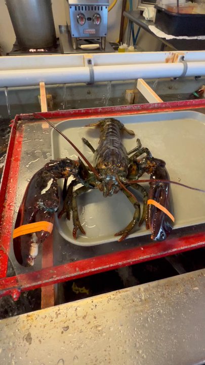CAPE PIER CHOWDER HOUSE - Updated September 2025 - 224 Photos & 202 ...