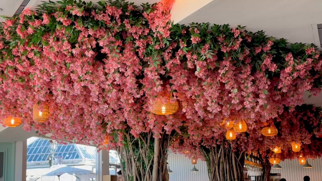 COCINA 35 - Updated January 2026 - 562 Photos & 280 Real Reviews - 1201 ...