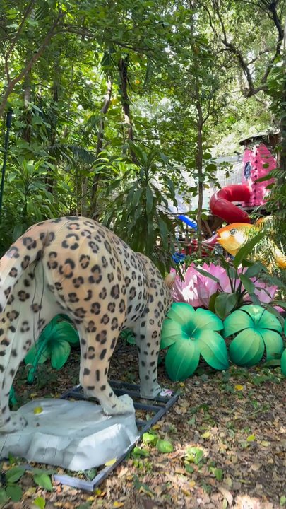 JUNGLE ISLAND - Updated May 2026 - 1341 Photos & 551 Reviews - 1111 ...