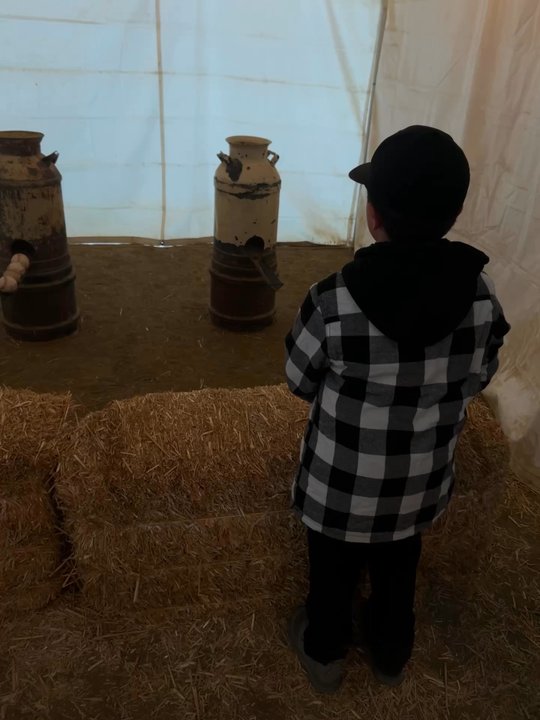 PELTZER PUMPKIN FARM - TEMP. CLOSED - Updated May 2026 - 397 Photos ...