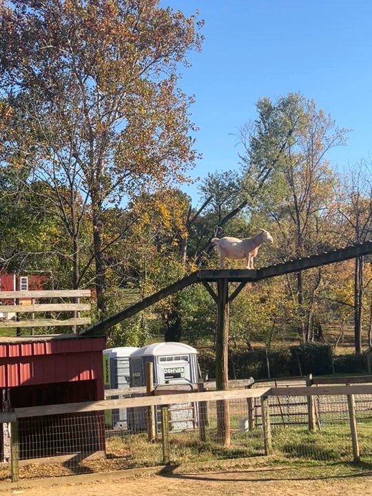 WEBER’S FARM - Updated August 2025 - 273 Photos & 162 Reviews - 2526 ...