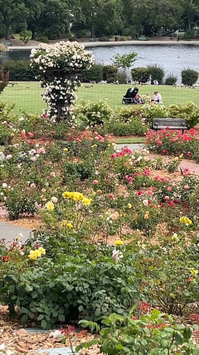 THE GARDENS AT HEATHER FARM - Updated December 2025 - 489 Photos & 103 ...