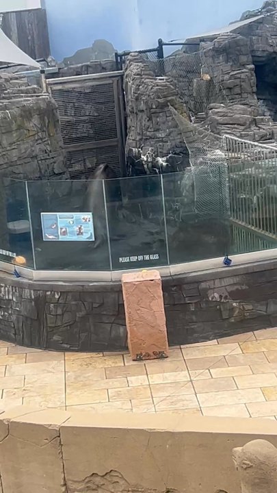 LONG ISLAND AQUARIUM - Updated January 2026 - 1214 Photos & 348 Reviews ...