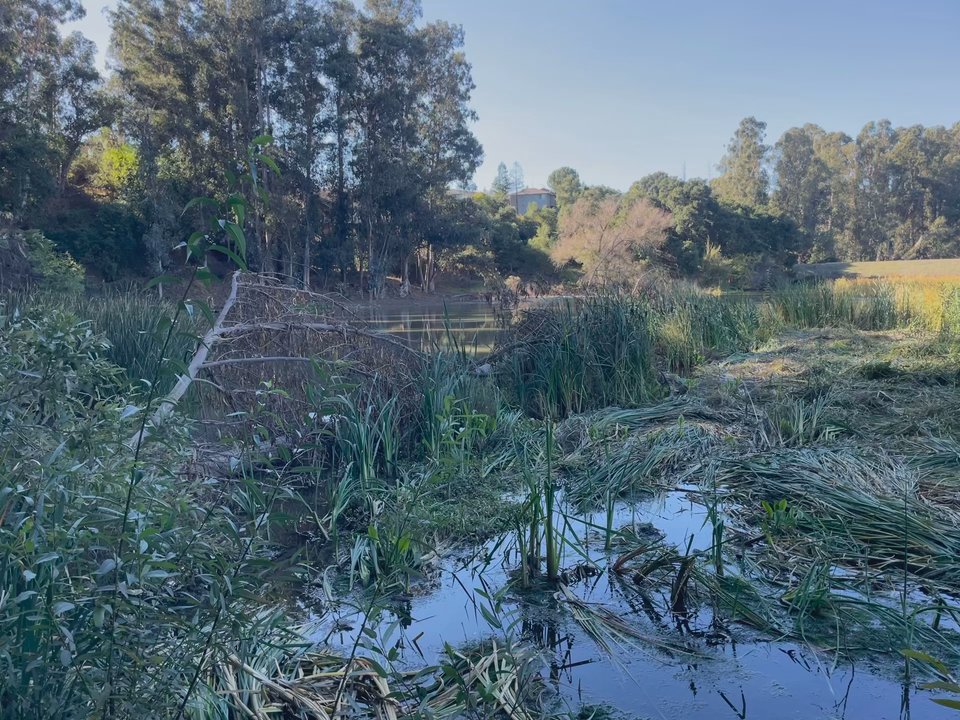 DON CASTRO REGIONAL RECREATION AREA - Updated December 2025 - 401 ...